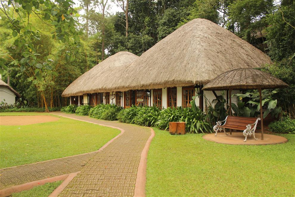 Eco Tourism in India: 5 top eco-resorts