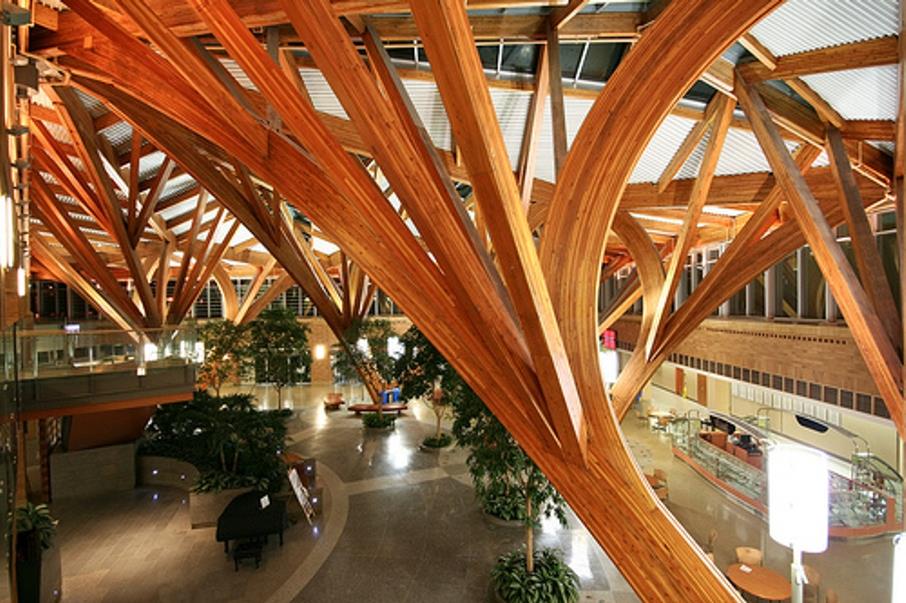 Healthcare Design: Trees for Hope and Healing